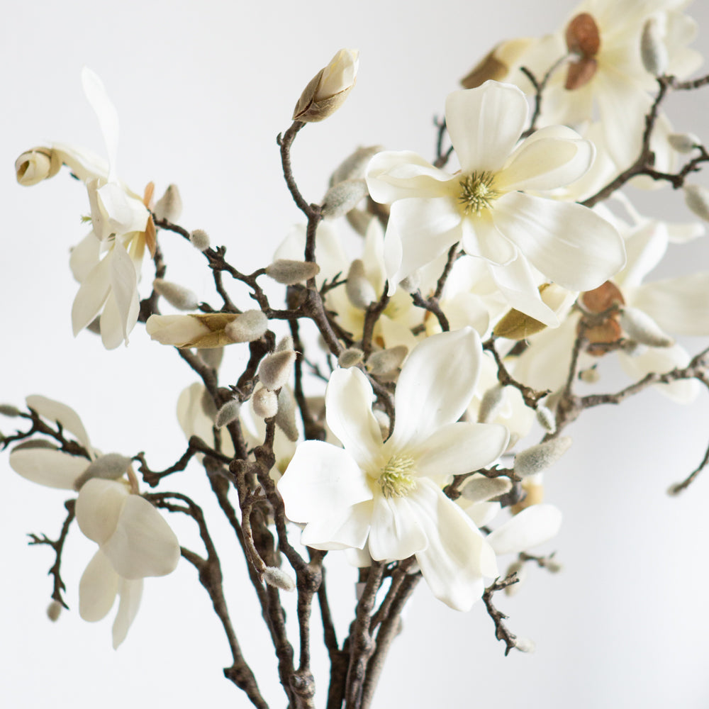 Artificial Magnolias – Pepperwhites by Tara Dennis
