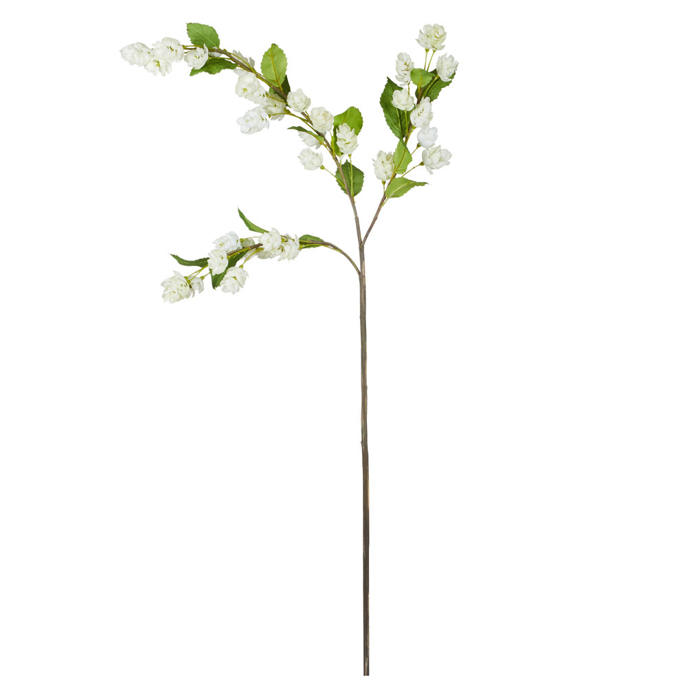 Hop Flower Stem White – Pepperwhites by Tara Dennis