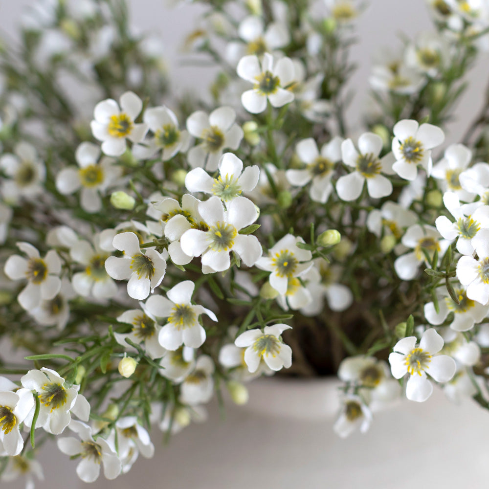 Artificial Australian Native Wax Flowers | Pepperwhites by Tara Dennis