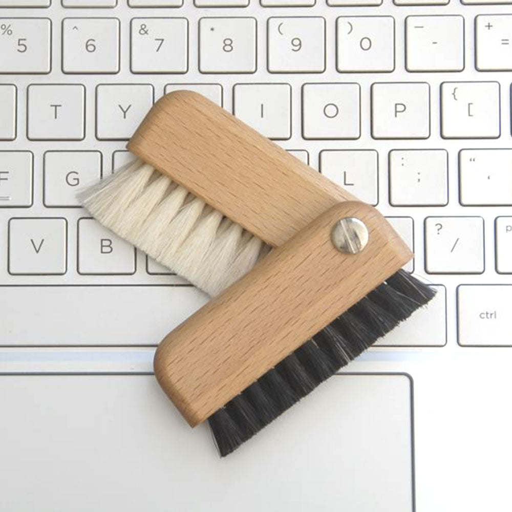 Computer Brush - Pepperwhites by Tara Dennis