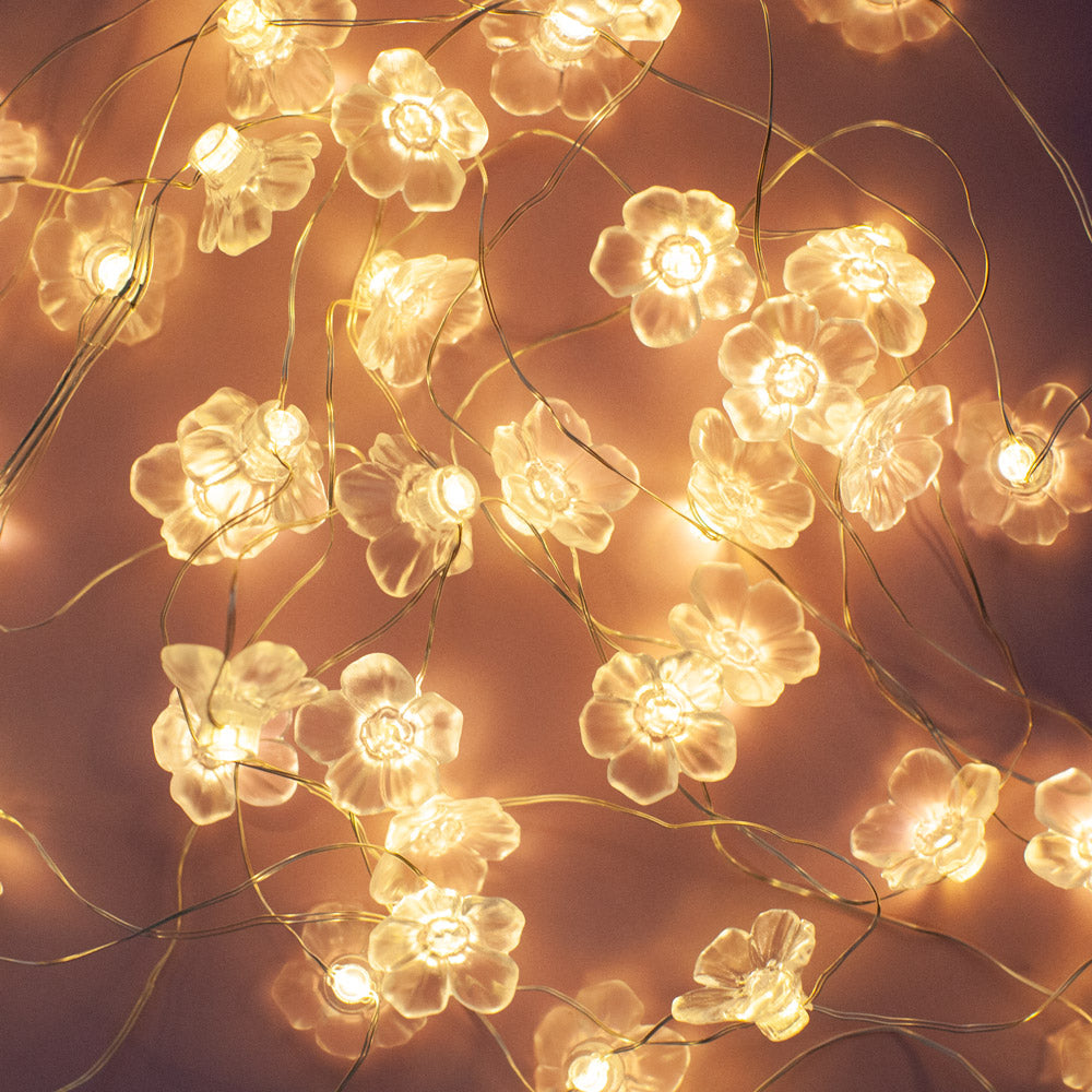 Flower Fairy Lights - LED Lights - Battery Powered | Pepperwhites ...